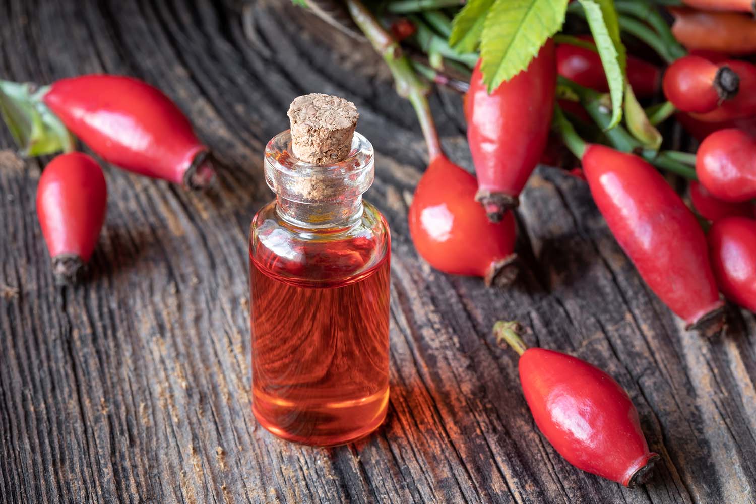 Rosehip Oil: Nature's Secret for Youthful Skin | Purodem